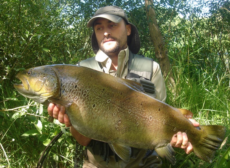 La Trucha – PESCADOR DEPORTIVO