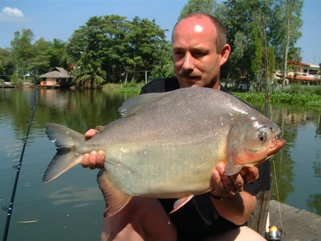 El Pacu – PESCADOR DEPORTIVO