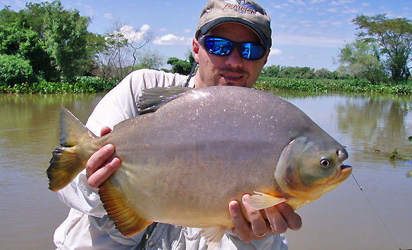 El Pacu – PESCADOR DEPORTIVO