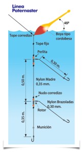 Tipos de lineas – PESCADOR DEPORTIVO