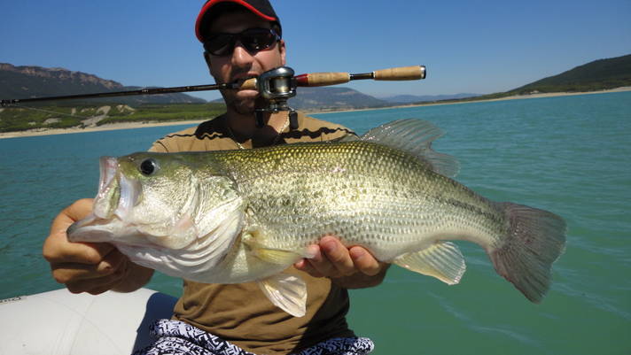 El Black Bass – PESCADOR DEPORTIVO