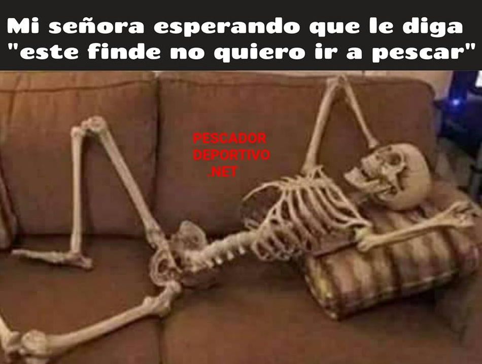 Meme Pesca 18 – PESCADOR DEPORTIVO