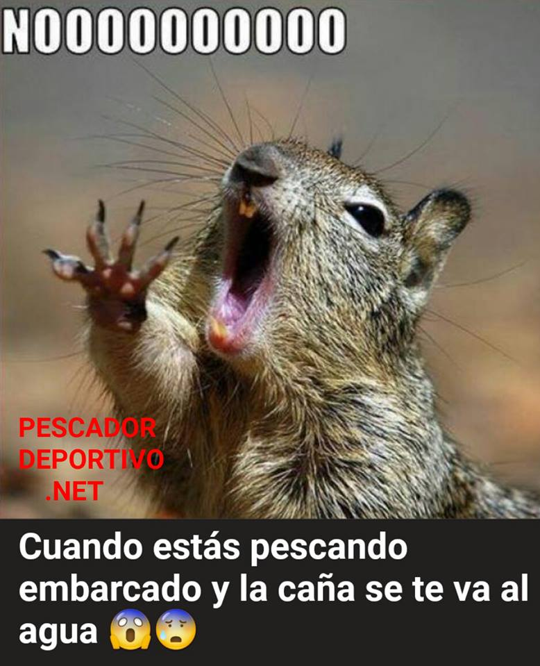 Meme Pesca 57 – PESCADOR DEPORTIVO