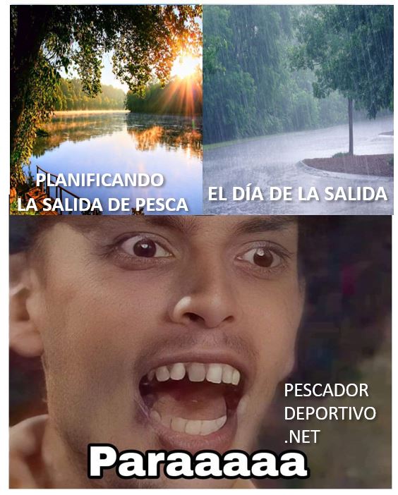 Memes de Pesca – PESCADOR DEPORTIVO