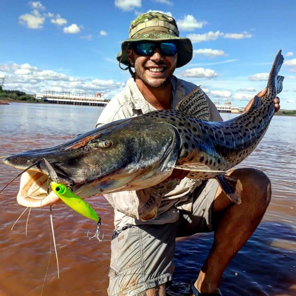 Las mejores Carnadas y Señuelos para pescar Surubí – PESCADOR DEPORTIVO