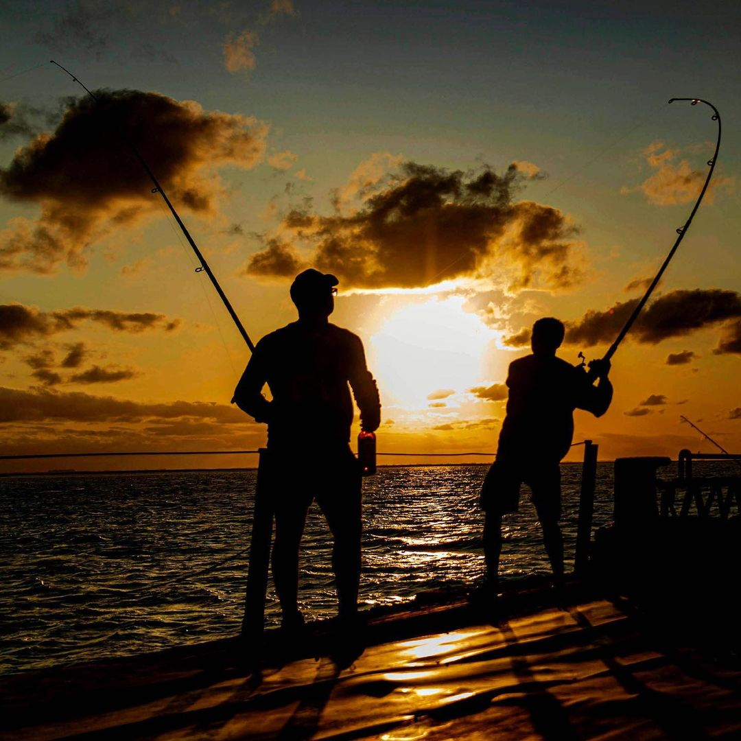 ¿Cómo influye el calor en la Pesca? – PESCADOR DEPORTIVO